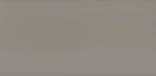 Magazin | Trady 2000